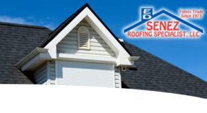 Home Page - Ed Senez